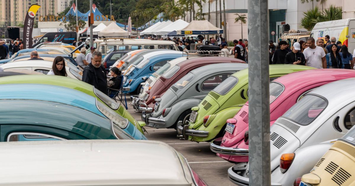 Dia Mundial do Fusca: encontro de automóveis chega a terceira edição no ...