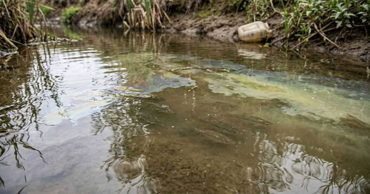 Biólogos avisam que um veneno comum de fazenda pode estar adiantando o ...