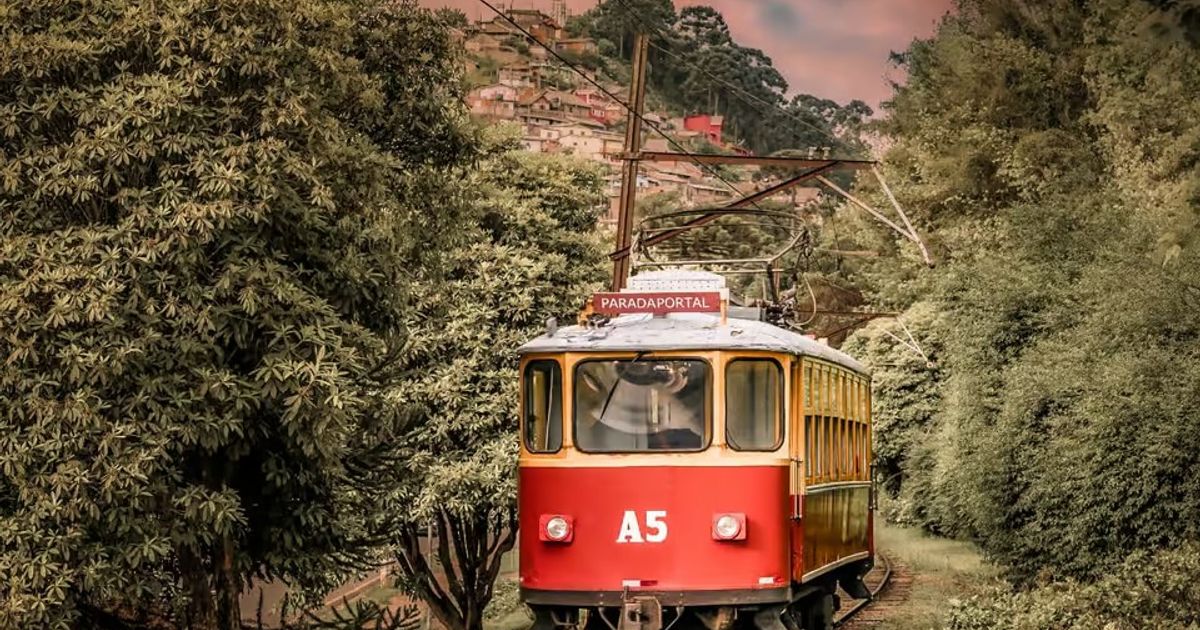 A atração mais fofa de Campos do Jordão (SP) tem quatro patas