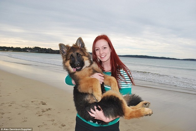 Casal documenta crescimento de cachorro durante oito meses