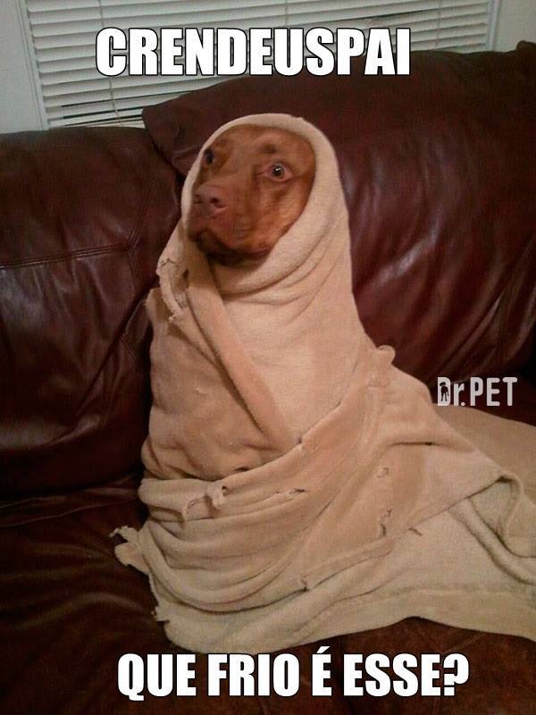 Alasca brasileira: os melhores memes e GIFs sobre o frio que chegou