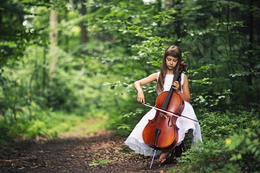 5 músicas inspiradoras que incentivam a preservação do meio ambiente (e ...