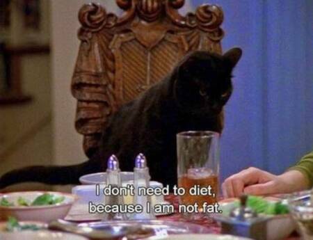 As 13 vezes que Salem, o gato da Sabrina, resumiu a vida