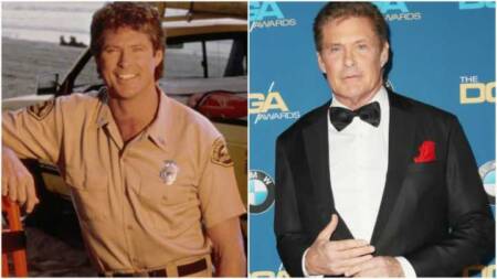 Veja como está hoje o elenco original de 'Baywatch: SOS Malibu'