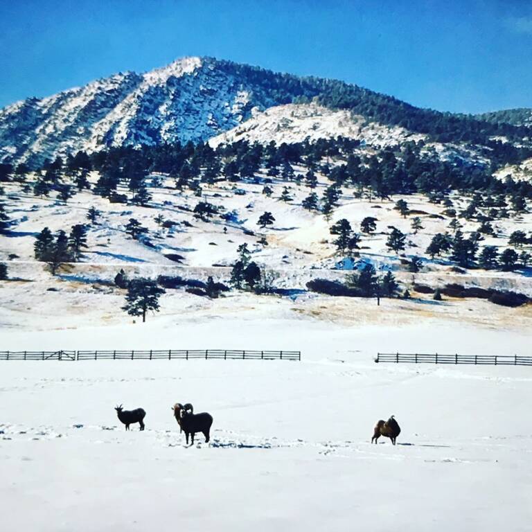Colorado tem cenários deslumbrantes nas 4 estações do ano