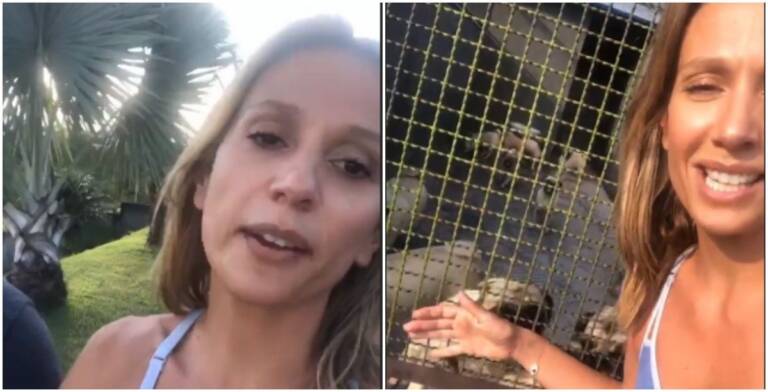 Luisa Mell salva 1707 cachorros para venda e é ameaçada de morte