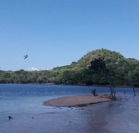 Amazônia: 5 dicas para tornar sua viagem inesquecível