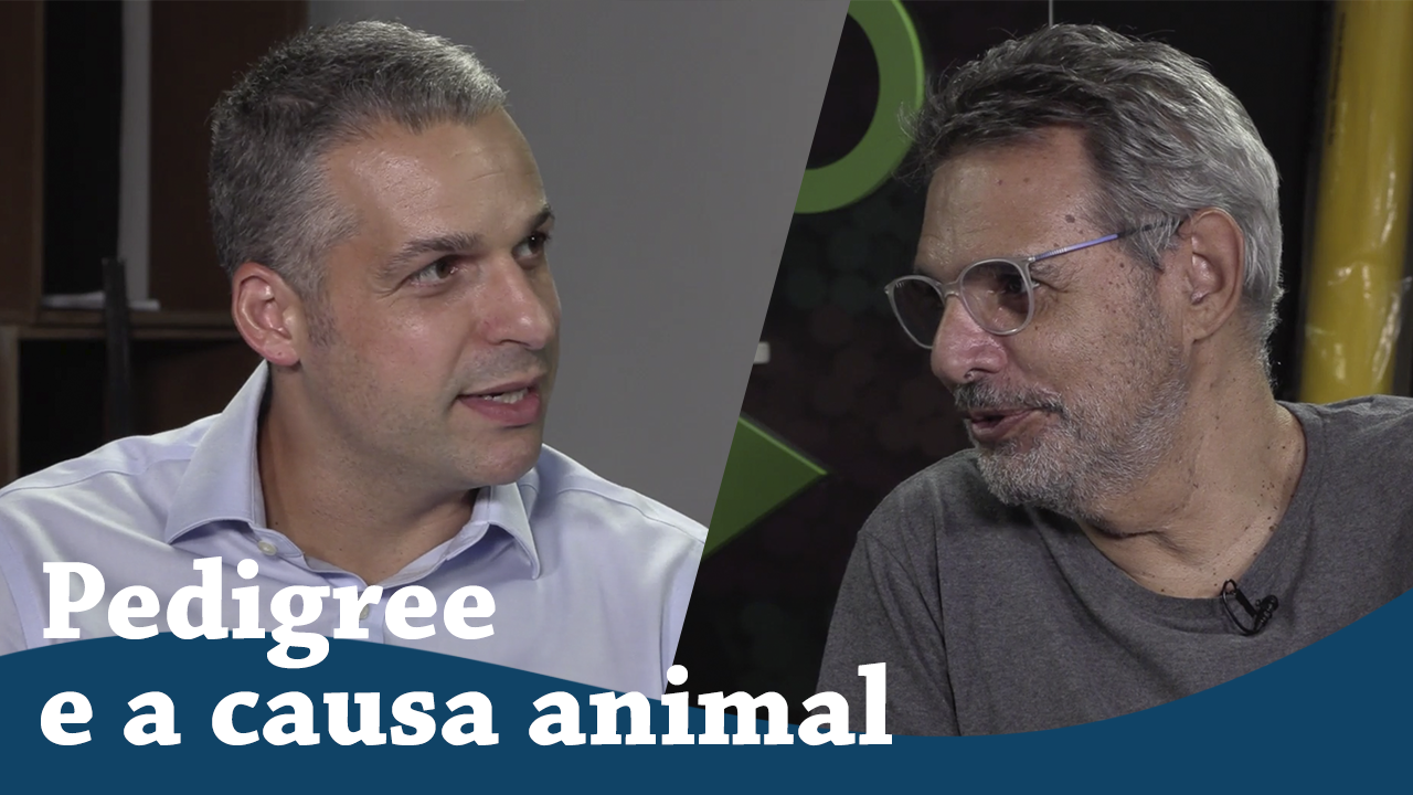 Como a Pedigree atua na causa animal
