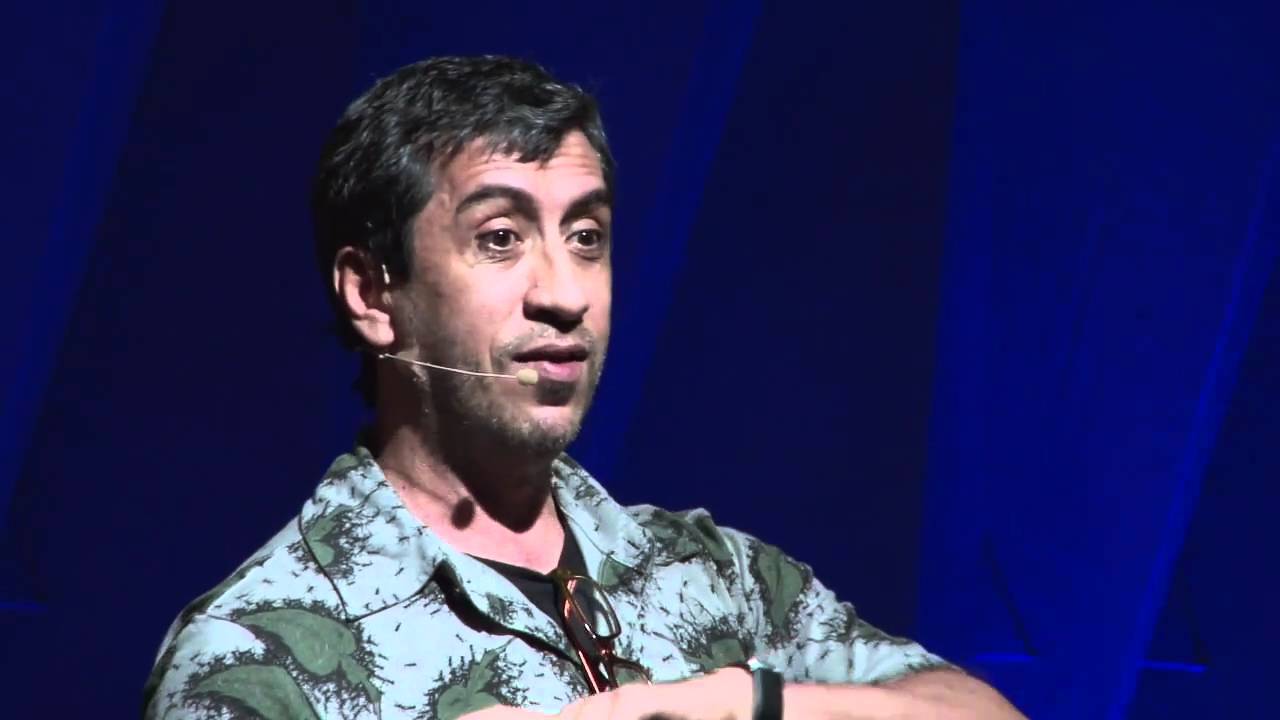 Mostra individual de Alexandre Sequeira