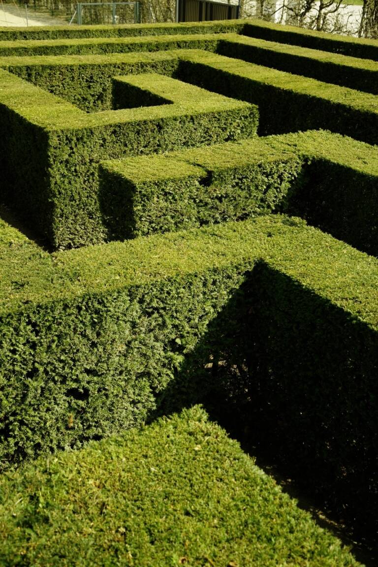 Viena com criança: o que fazer em família na capital da Áustria