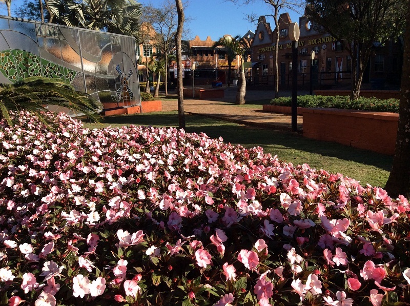 Começou a Expoflora, a maior exposição de flores da América Latina