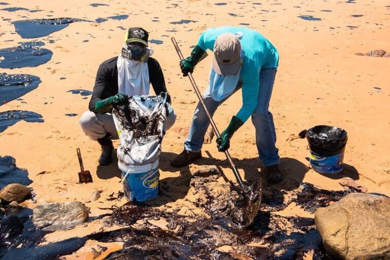ONG mobiliza voluntários para ajudar na limpeza de praias no NE