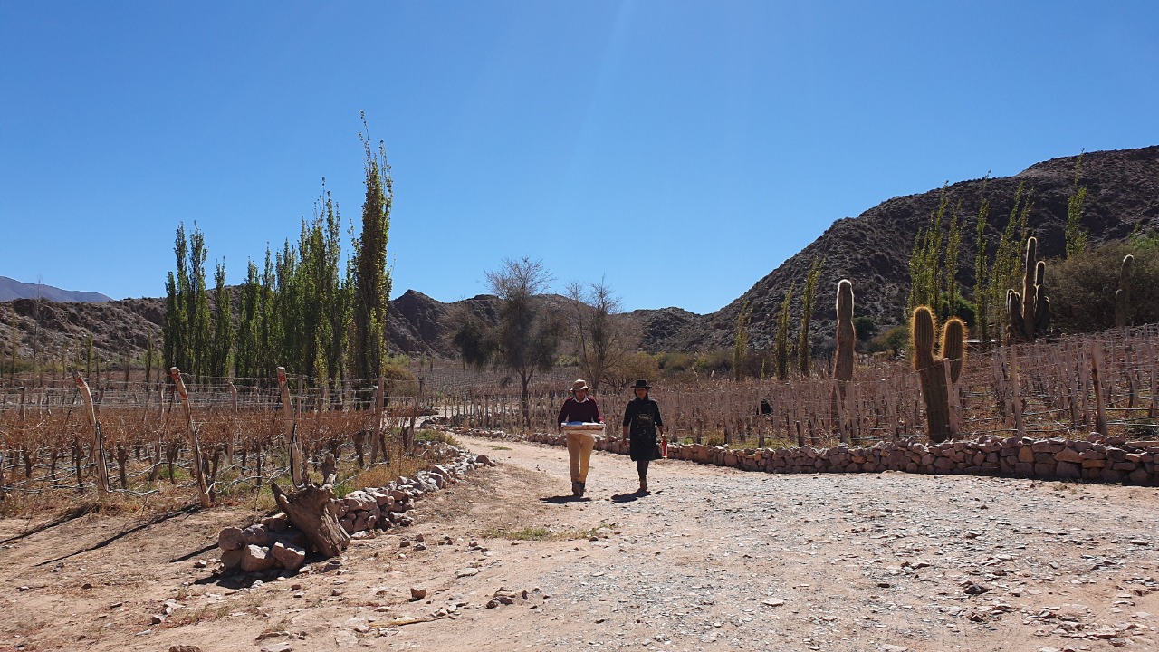 Jujuy, um paraíso entre montanhas coloridas no norte da Argentina