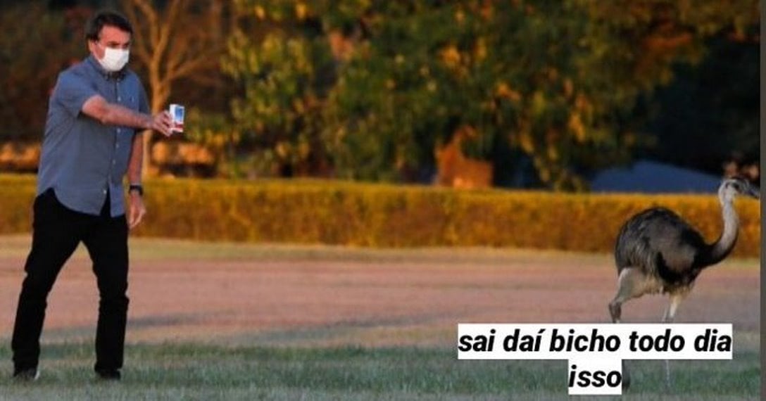 Bolsonaro oferece hidroxicloroquina para ema e web não se aguenta ...