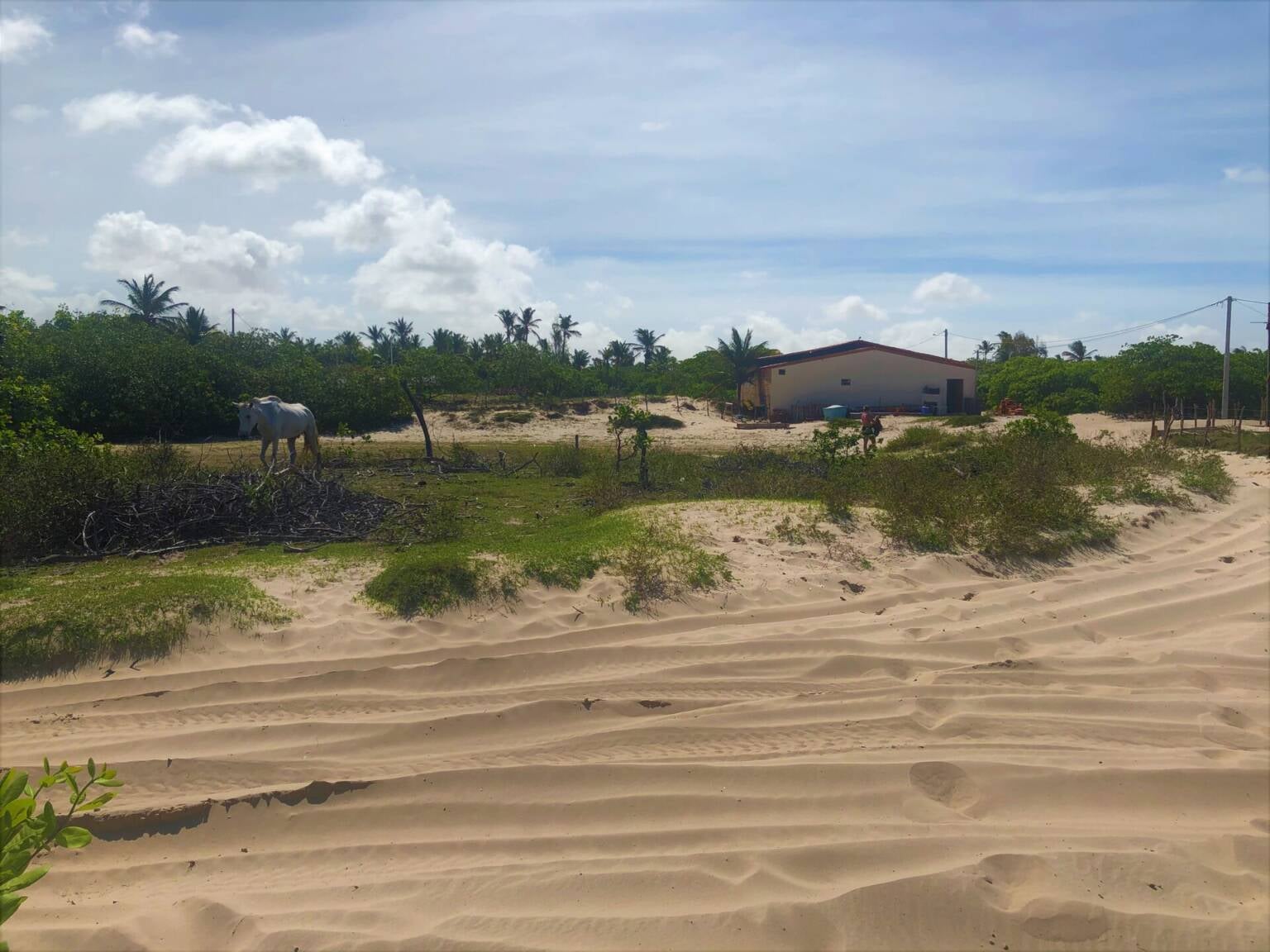 Conheça a selvagem Atins, nos Lençóis Maranhenses