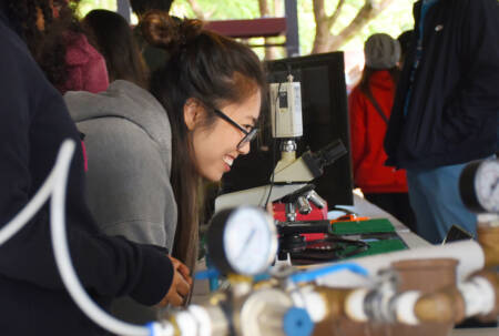 Para todo o Brasil, Unicamp disponibiliza 8 cursos gratuitos on-line