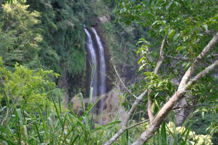 4 opções de passeios na natureza para fazer em Torrinha (SP)