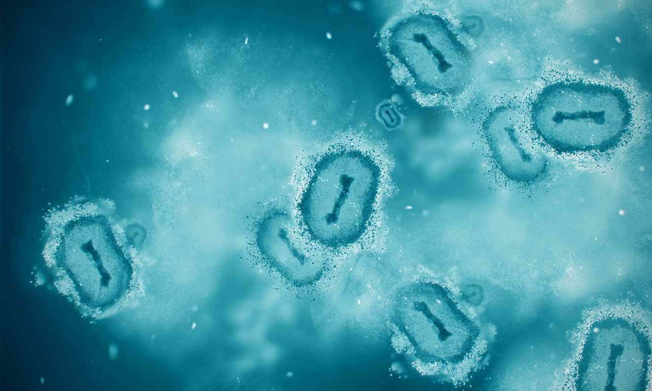 Brasil tem 978 casos da varíola do macaco; veja em quais locais