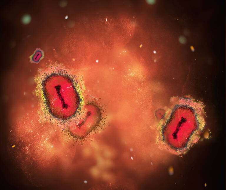 São Paulo confirma 3 crianças com varíola do macaco