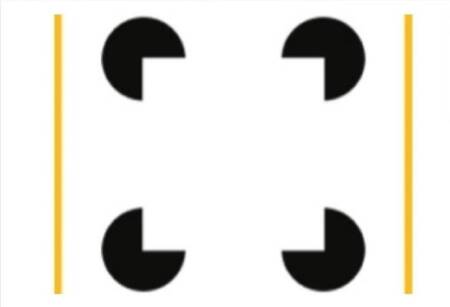 An optical illusion test can quickly reveal who has autism