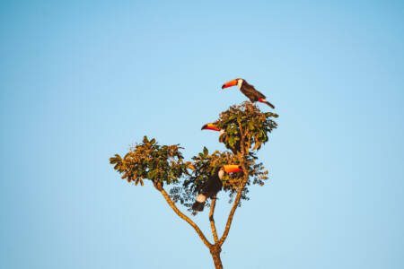 O que conhecer em Goiás: 10 cidades para incluir no roteiro