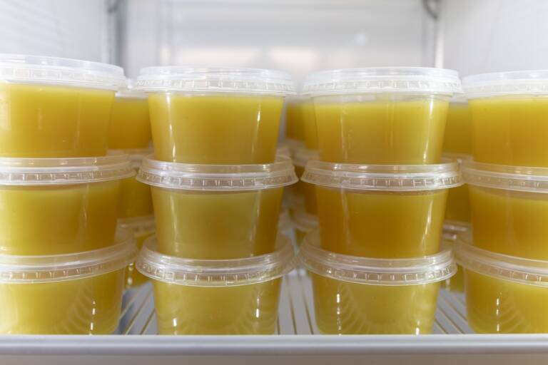 Receita de curau de milho verde DIVINO; você precisa fazer!