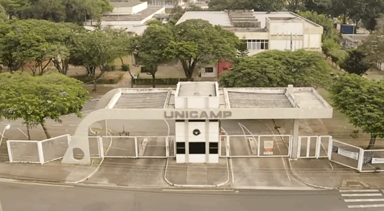 Unicamp oferece 15 cursos gratuitos online; veja como se inscrever